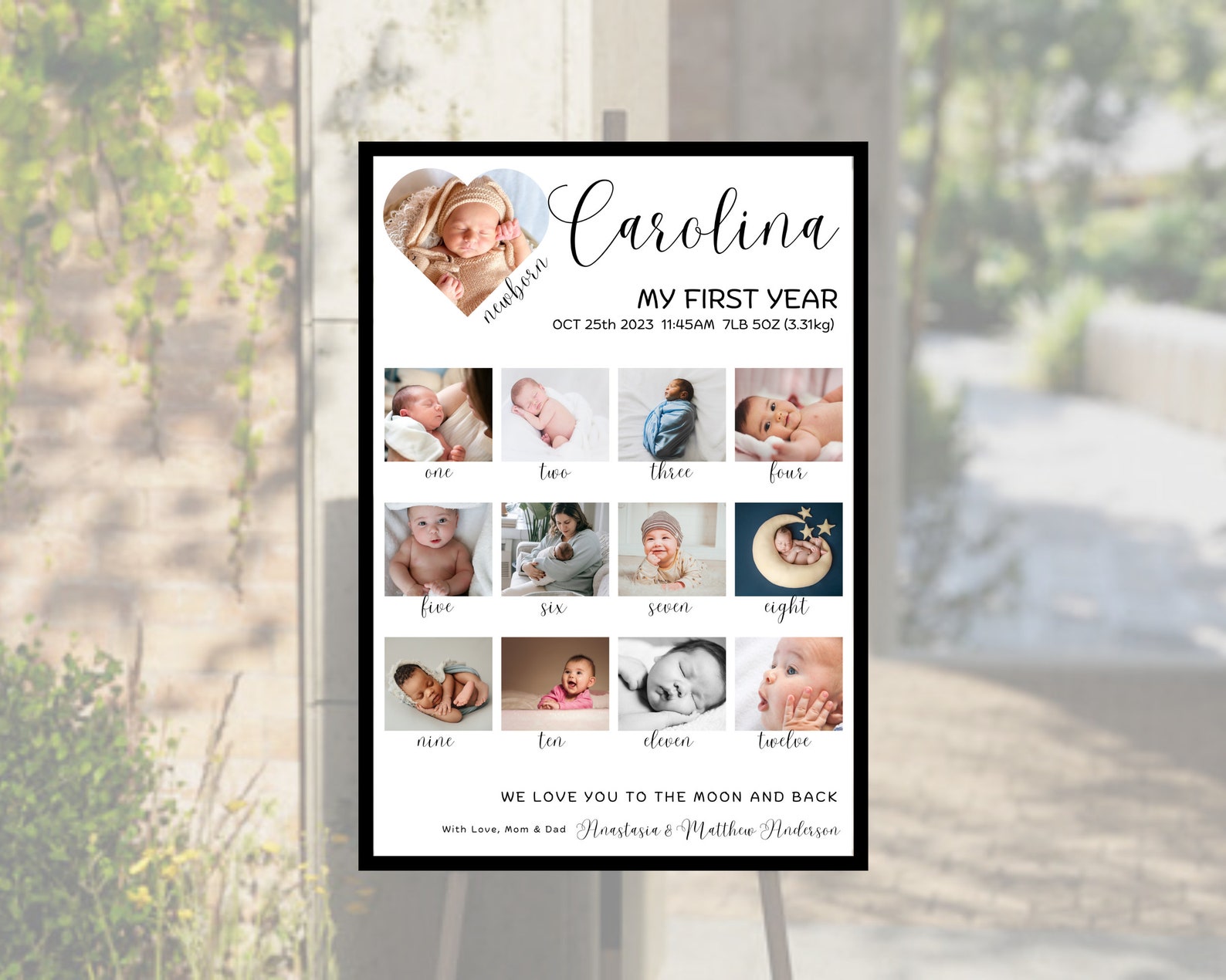 Milestone Sign, Modern 1st Birthday Milestone Poster, One Year Photos ...