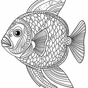 50 Fish Colouring Pages, Amazing Patterns, Adult Colouring Book ...