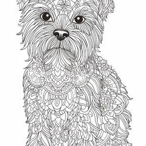 50 Yorkshire Terrier Mandala Colouring Pages, Amazing Patterns, Adult ...