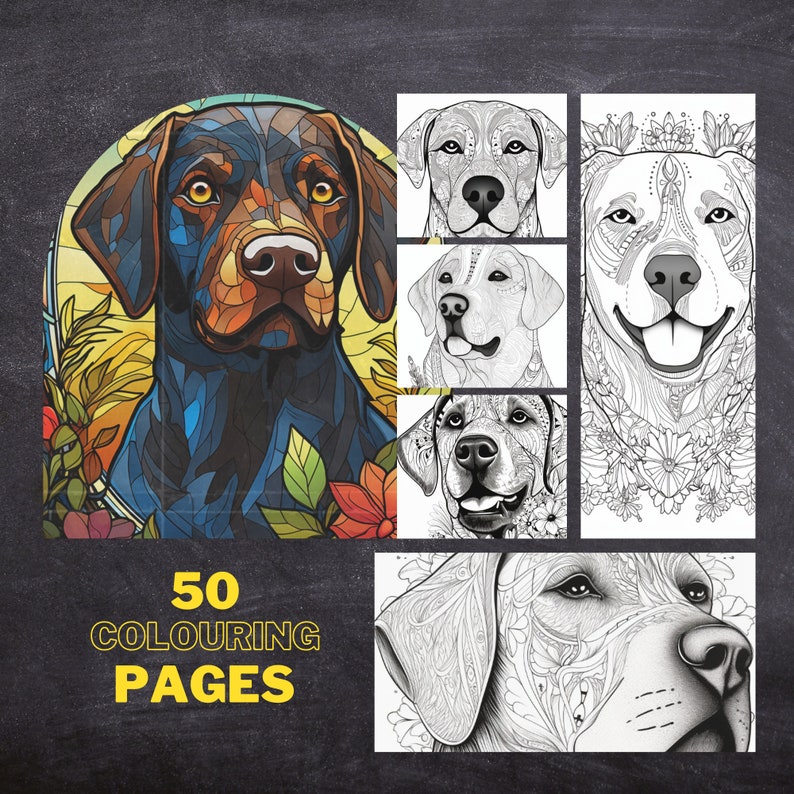 50 Labrador Colouring Pages, Amazing Patterns, Adult Colouring Book ...