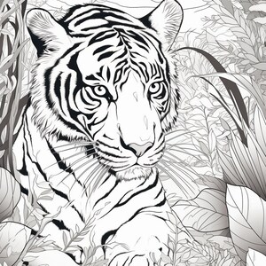 30 Baby Tiger Colouring Pages, Amazing Patterns, Adult Colouring Book ...