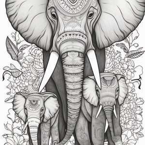 50 Elephants Colouring Pages, Amazing Patterns, Adult Colouring Book ...