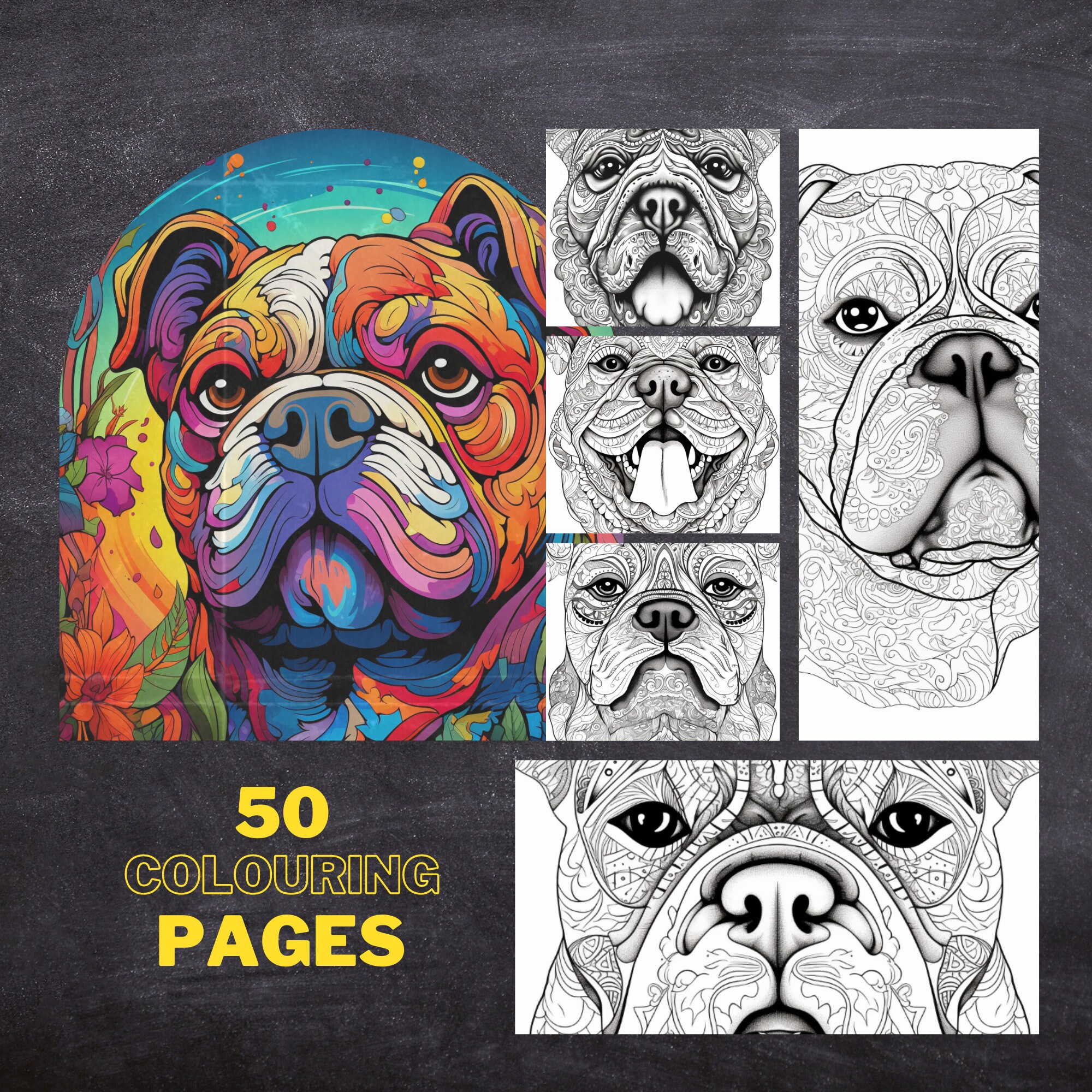 50 Bulldog Colouring Pages, Amazing Patterns, Adult Colouring Book ...