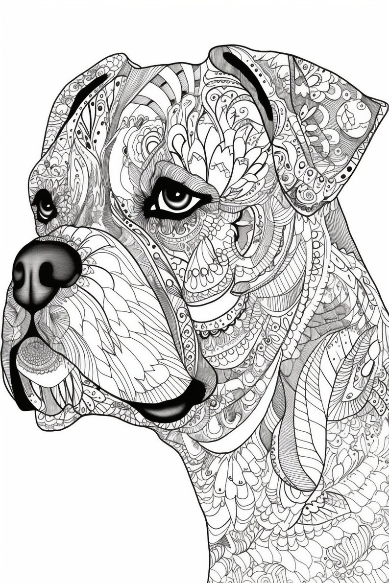 Boxer Dog Mandala Colouring Pages: 100 Amazing Patterns Adult - Etsy