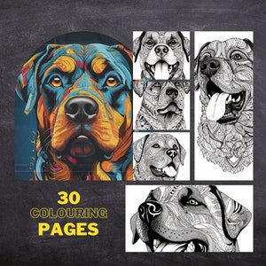 30 Rottweilers Colouring Pages, Amazing Patterns, Adult Colouring Book ...