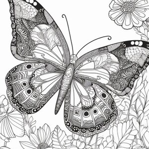 Butterfly Mandala Colouring Pages: 100 Amazing Patterns Adult Colouring ...