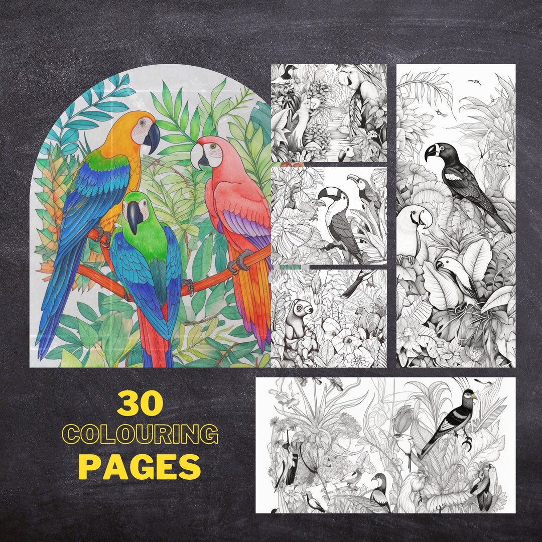 30 Rainforest Animals Colouring Pages, Amazing Patterns, Adult ...