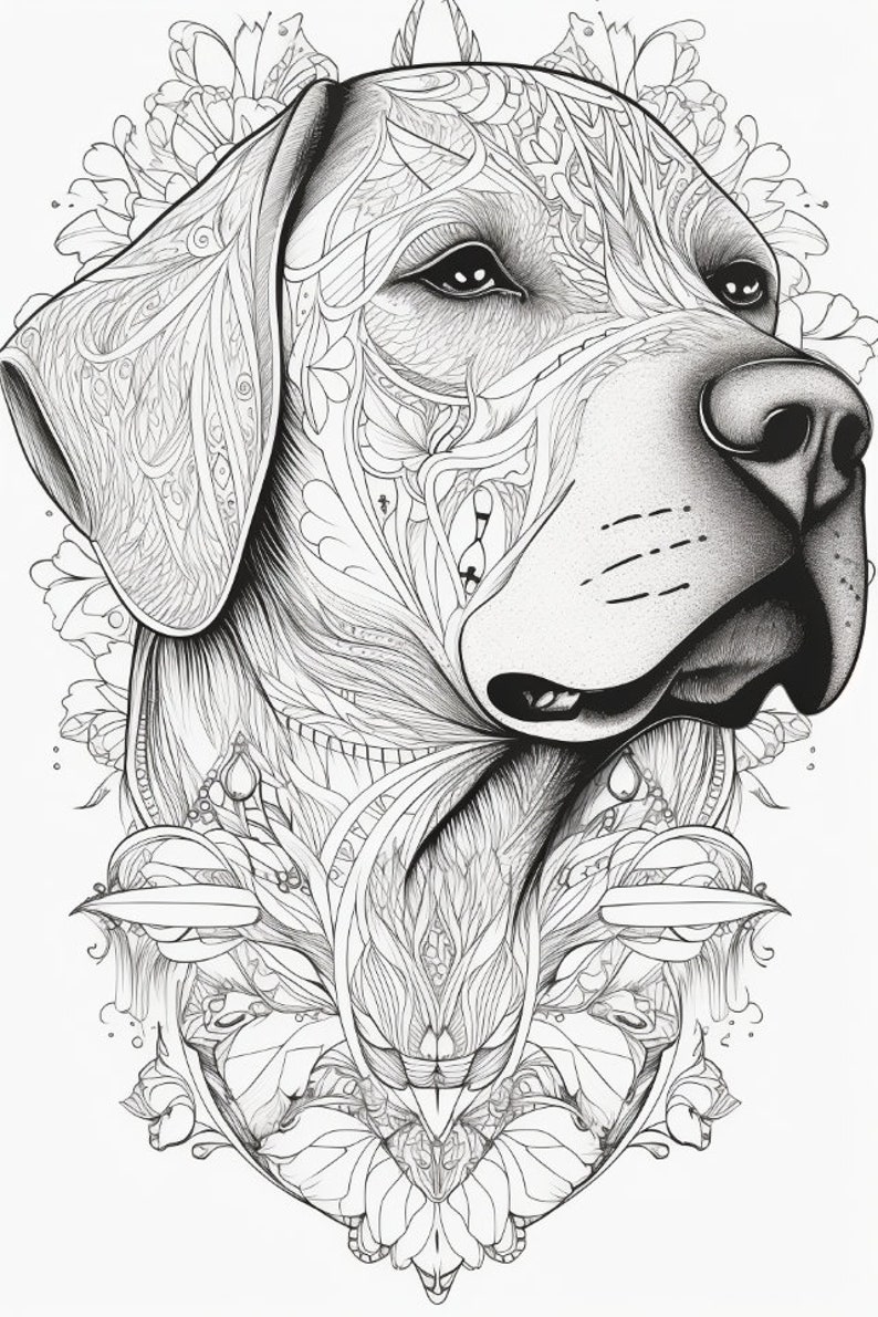 50 Labrador Colouring Pages, Amazing Patterns, Adult Colouring Book ...