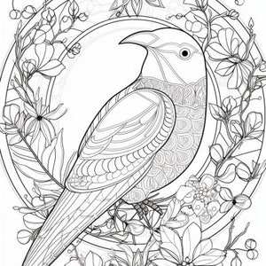 50 Birds Colouring Pages, Amazing Patterns, Adult Colouring Book ...