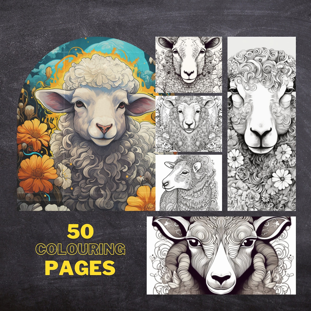 50 Sheep Colouring Pages, Amazing Patterns, Adult Colouring Book ...