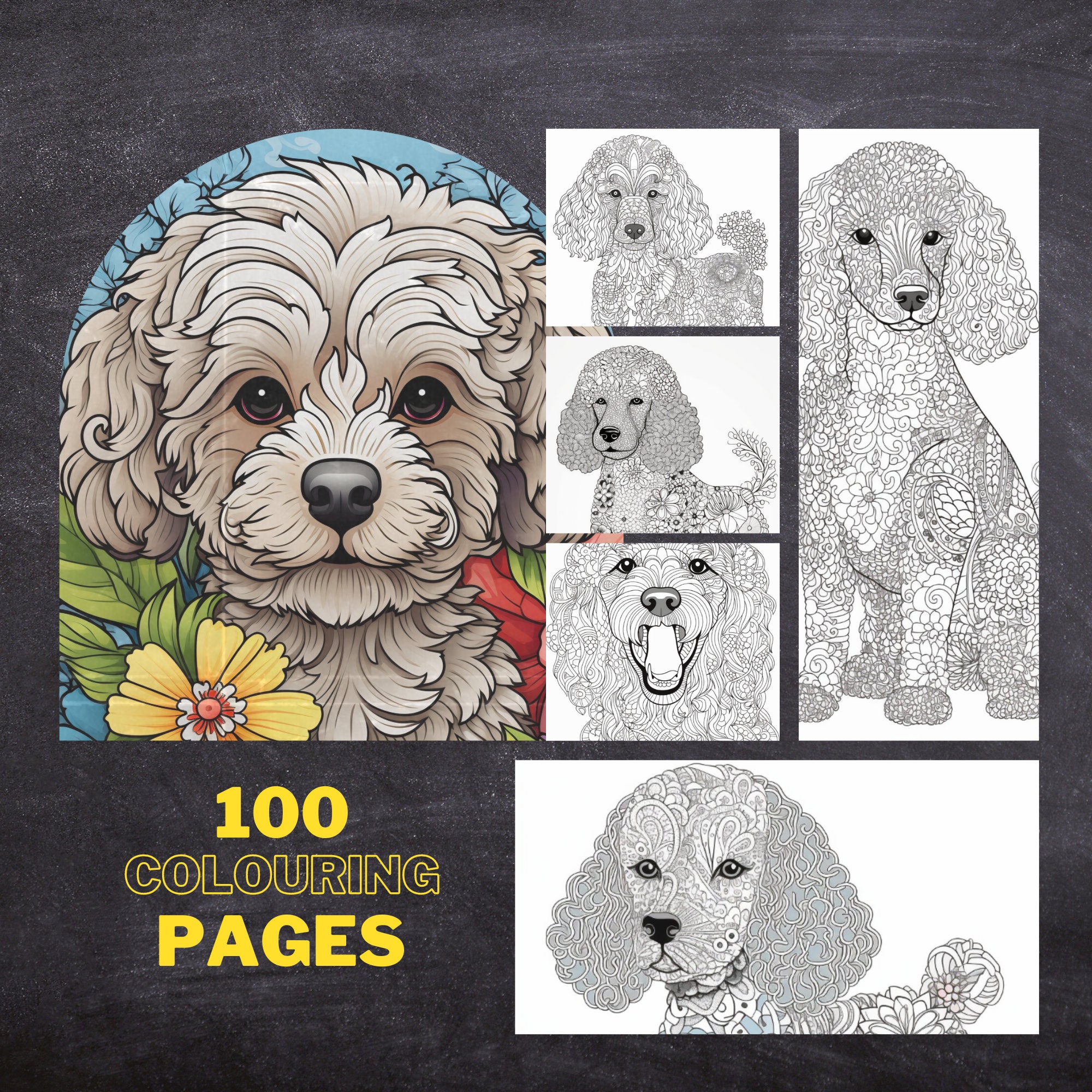 100 Poodle Mandala Colouring Pages, Amazing Patterns, Adult Colouring ...