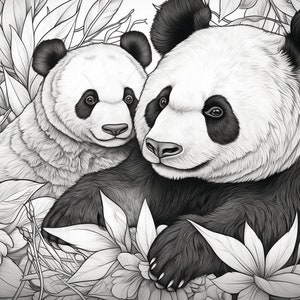 30 Pandas Colouring Pages, Amazing Patterns, Adult Colouring Book ...