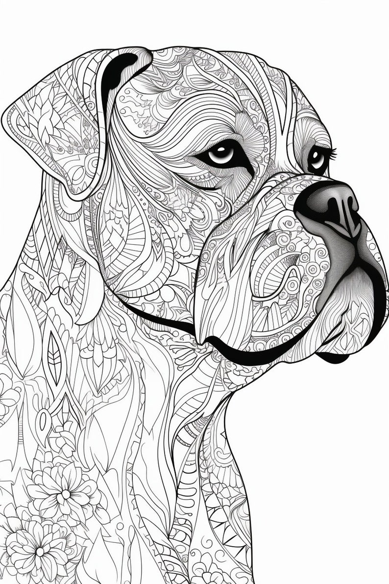Boxer Dog Mandala Colouring Pages: 100 Amazing Patterns Adult - Etsy