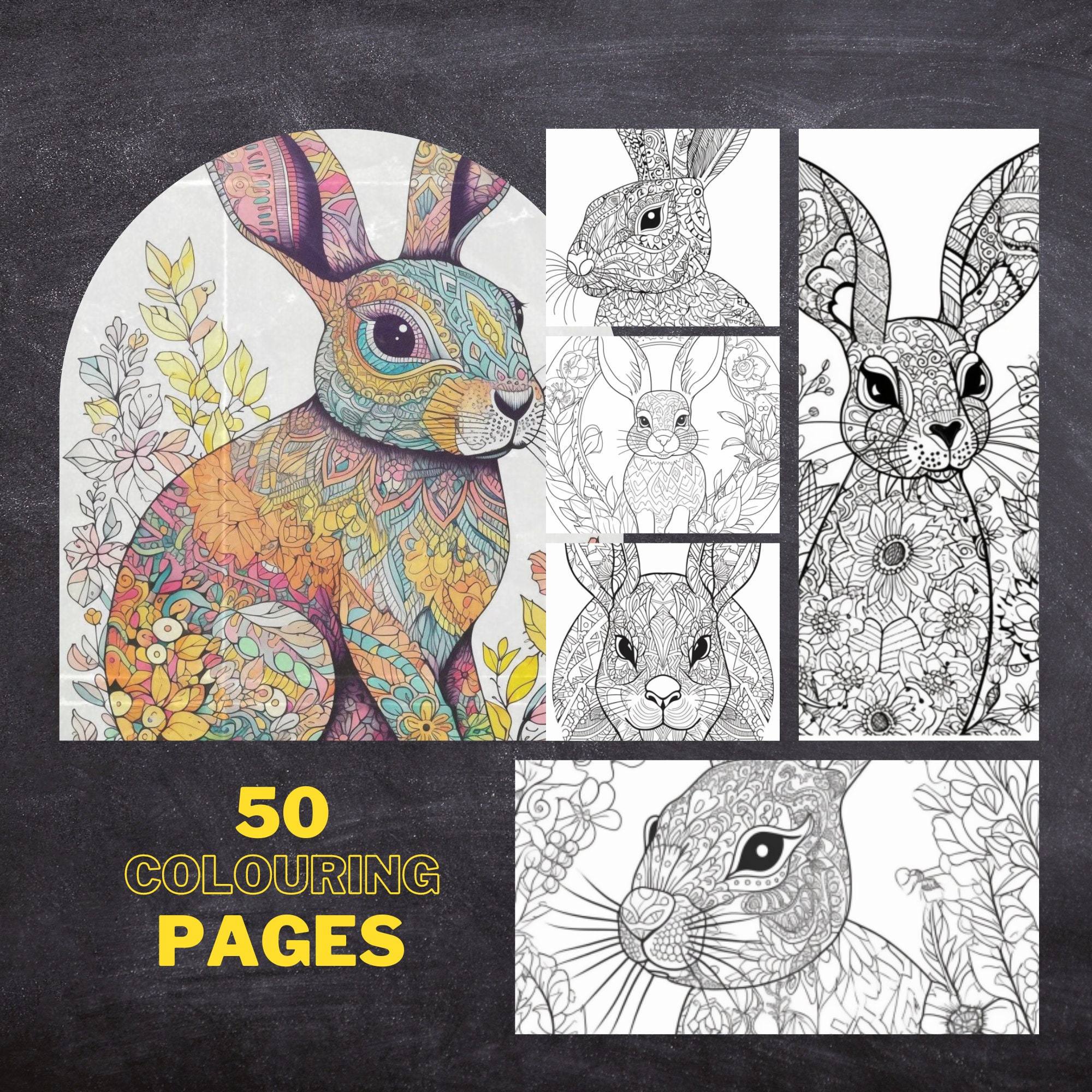 50 Bunny Rabbits Colouring Pages, Amazing Patterns, Adult Colouring ...