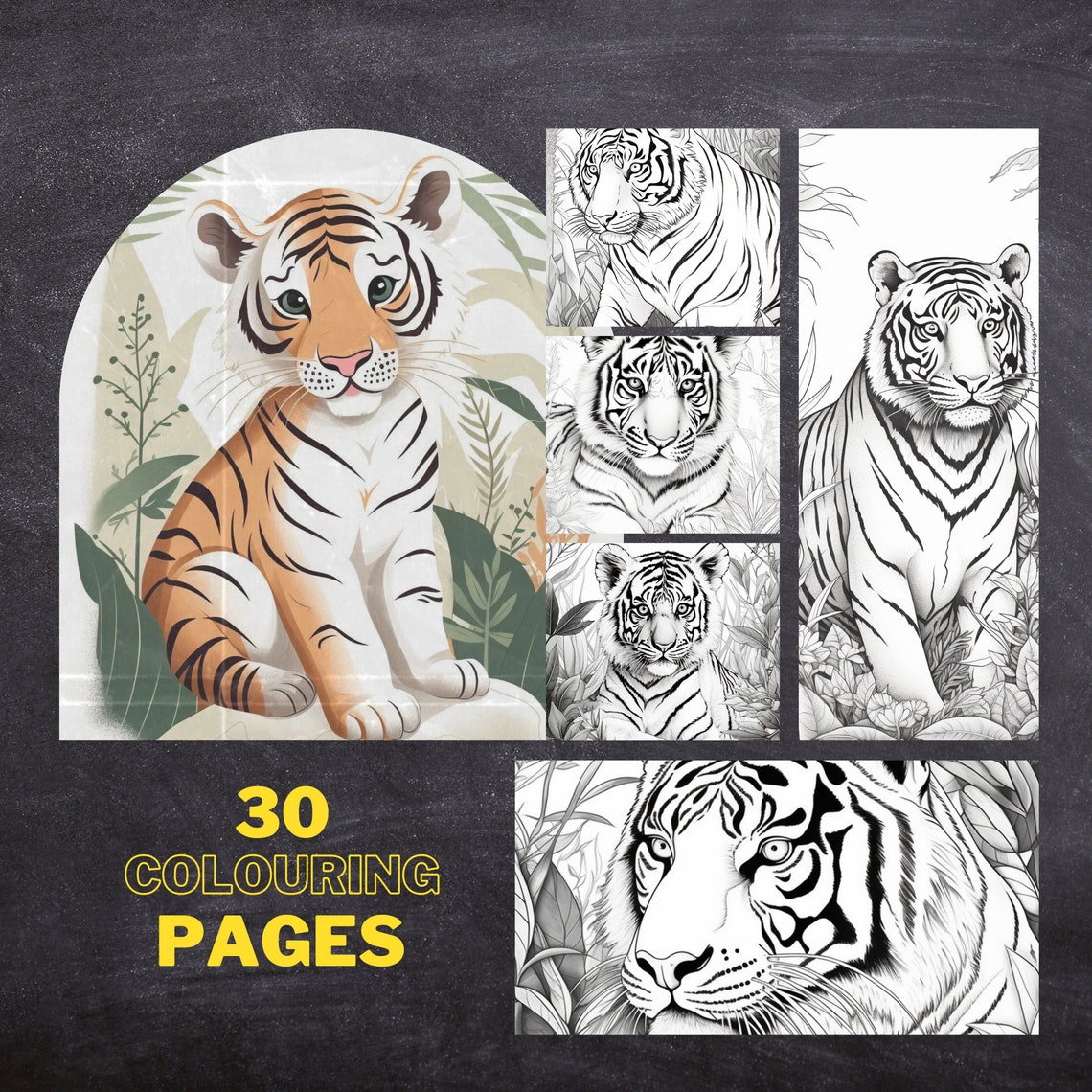 30 Baby Tiger Colouring Pages, Amazing Patterns, Adult Colouring Book ...