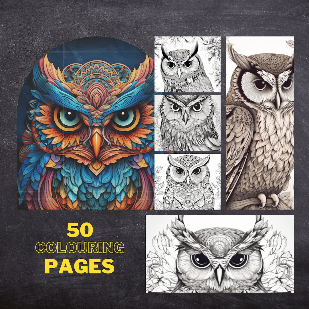 50 Owls Colouring Pages, Amazing Patterns, Adult Colouring Book ...