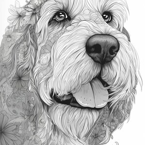 30 Cute Dog Colouring Pages, Amazing Patterns, Adult Colouring Book ...