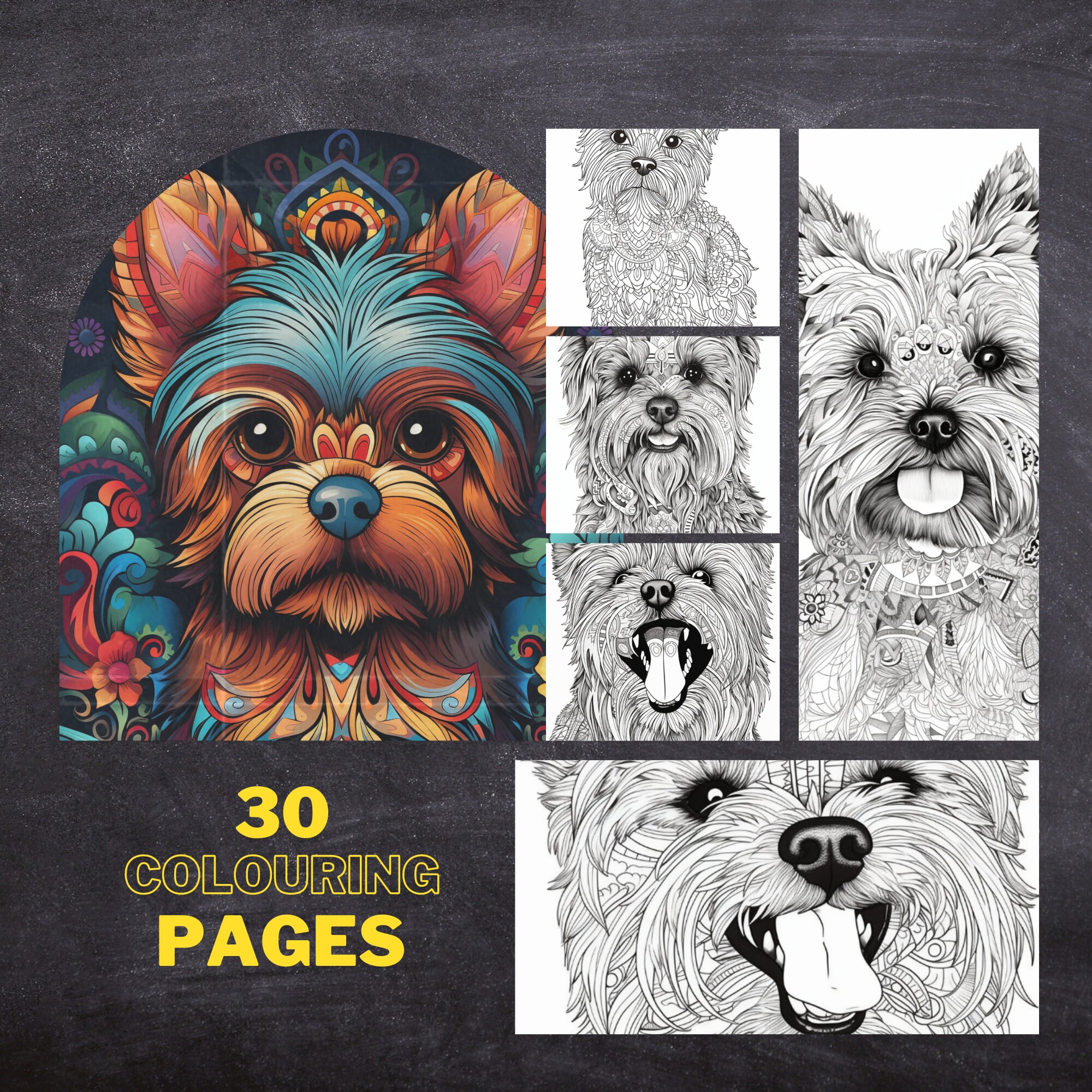 30 Yorkshire Terrior Colouring Pages, Amazing Patterns, Adult Colouring ...