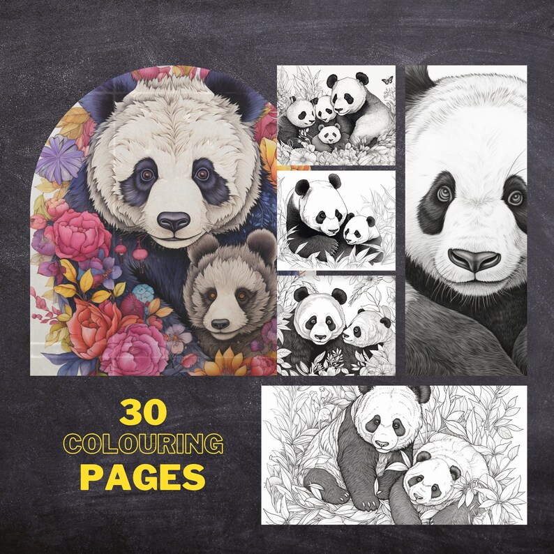 30 Pandas Colouring Pages, Amazing Patterns, Adult Colouring Book ...