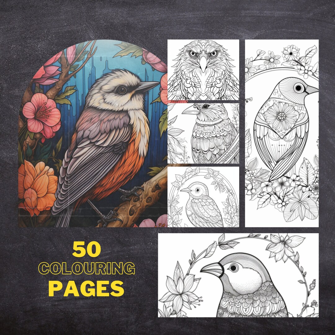 50 Birds Colouring Pages, Amazing Patterns, Adult Colouring Book ...