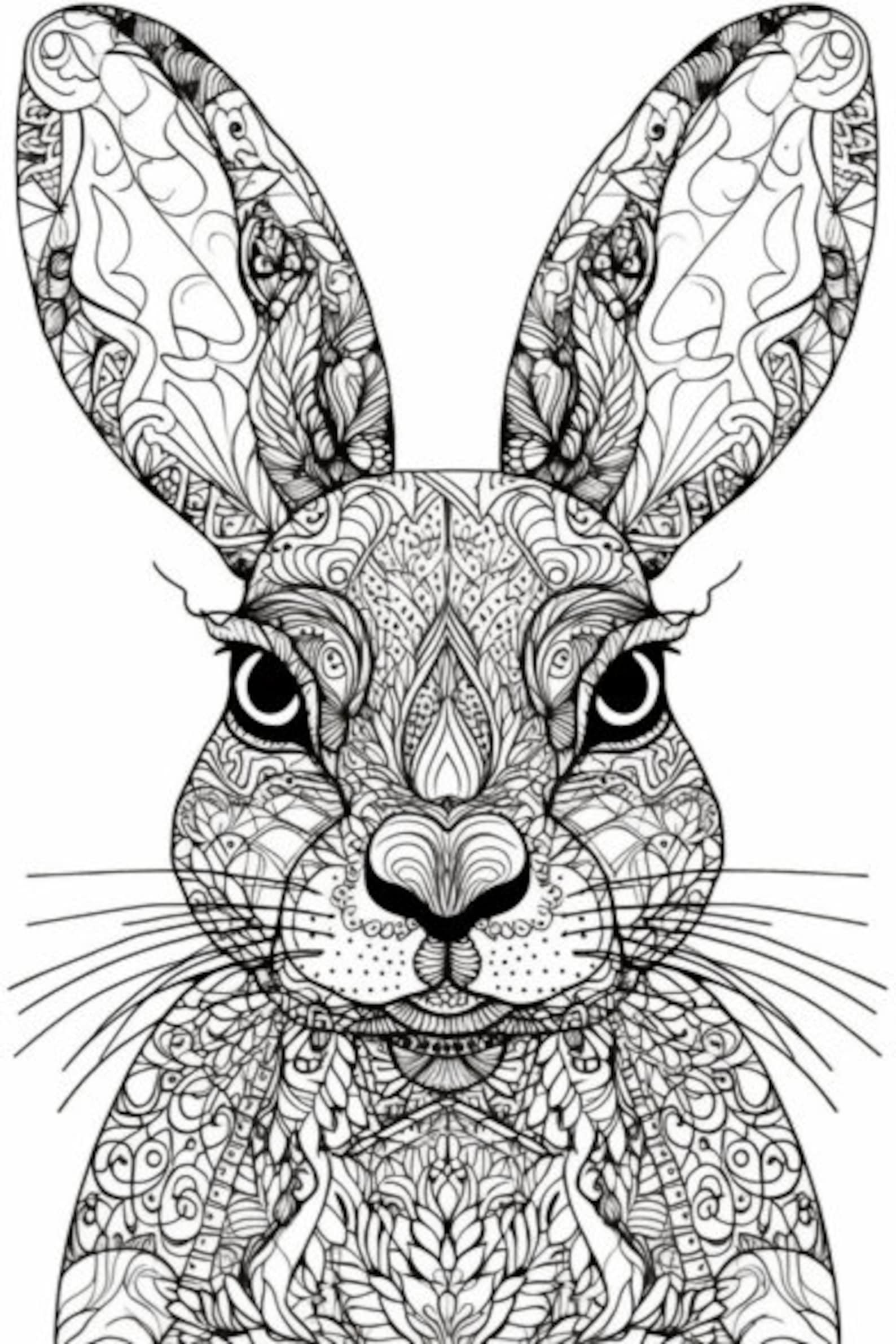 Bunny Mandala Colouring Pages: 100 Amazing Patterns Adult - Etsy