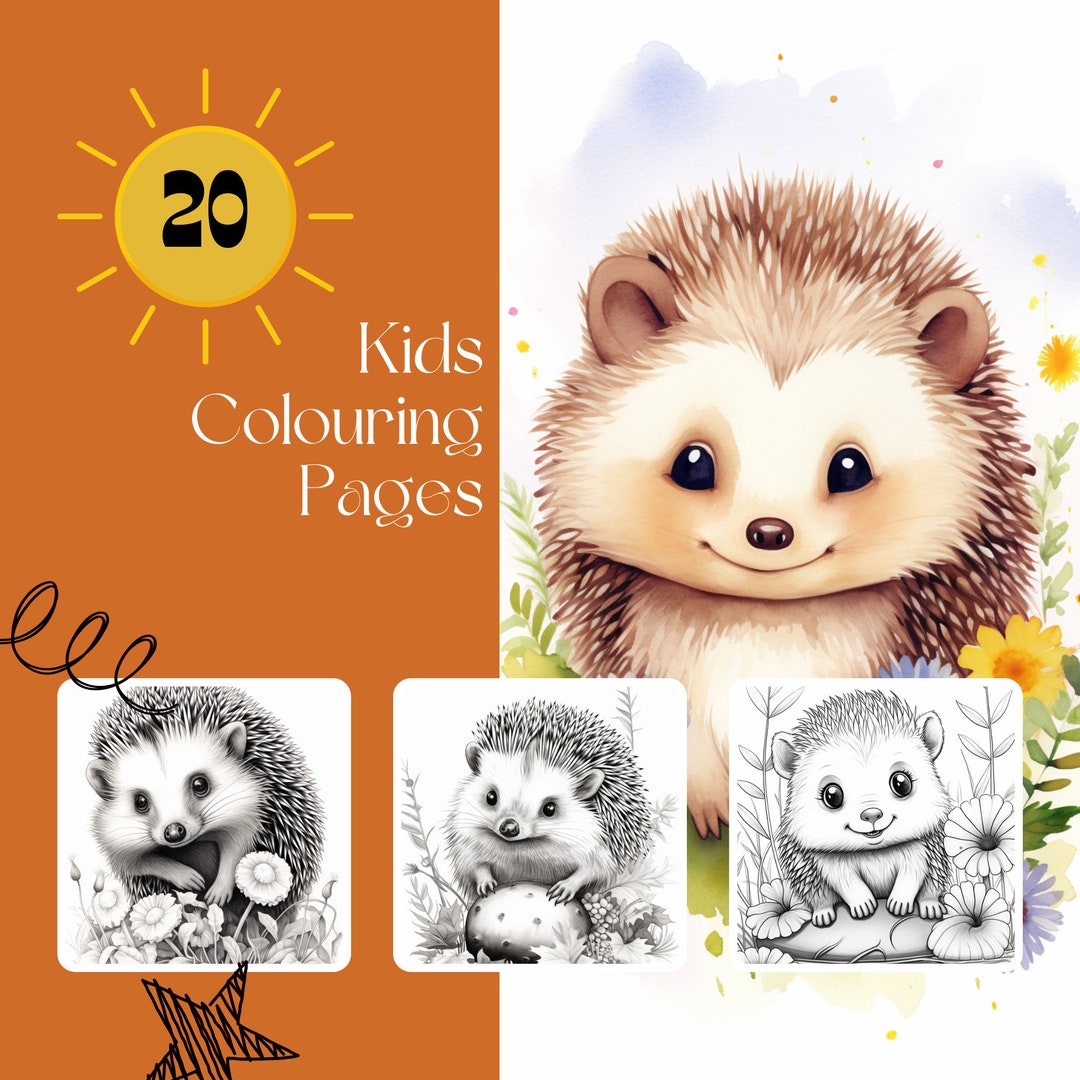 20 Cute Hedgehog Kids Colouring Pages, Amazing Patterns, Kids Colouring ...