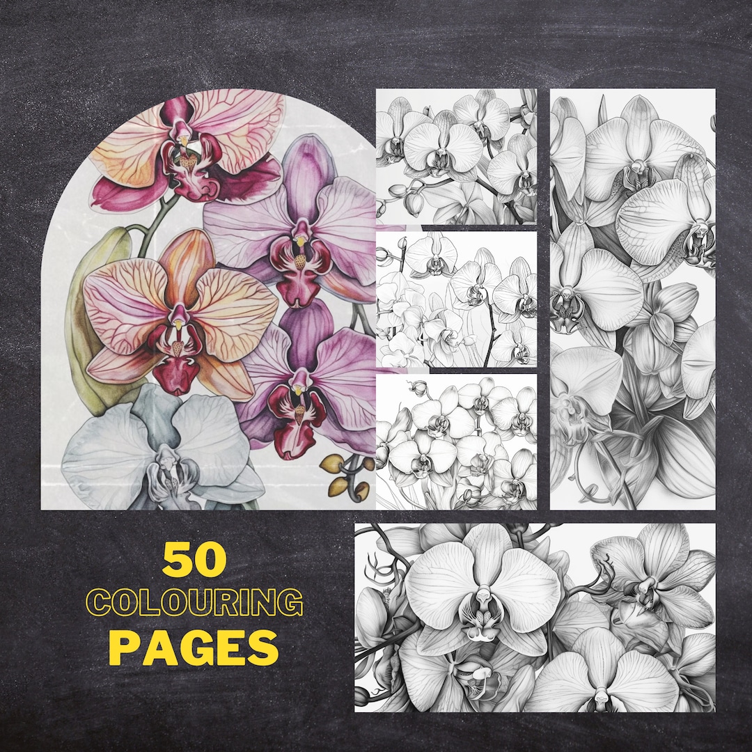 50 Orchid Flowers Colouring Pages, Amazing Patterns, Adult Colouring ...