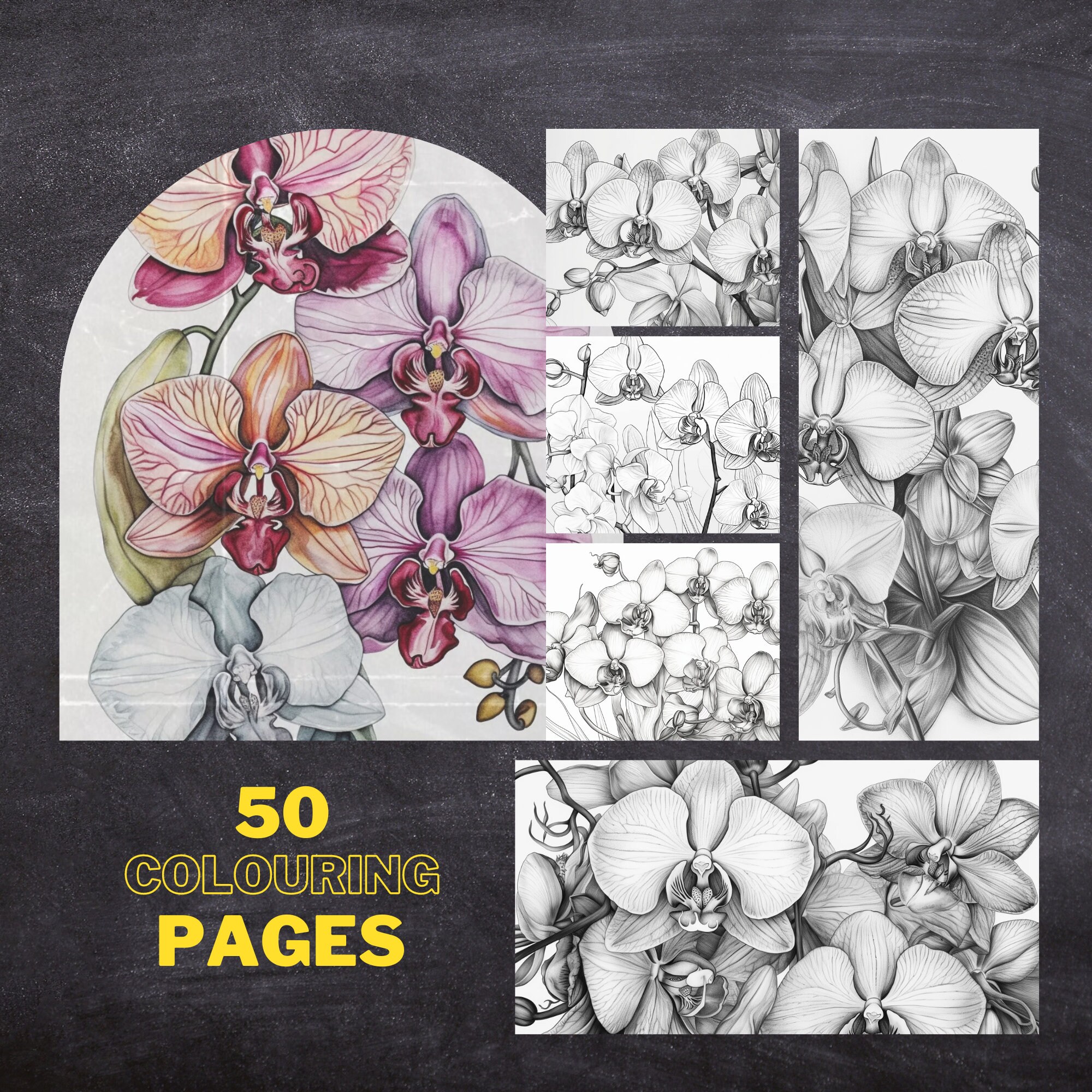 50 Orchid Flowers Colouring Pages, Amazing Patterns, Adult Colouring ...