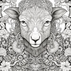 50 Sheep Colouring Pages, Amazing Patterns, Adult Colouring Book ...