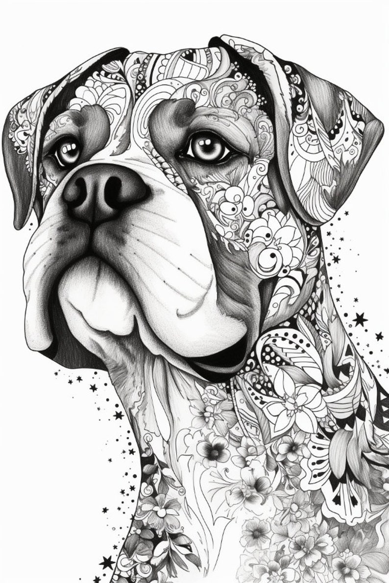 50 Boxers Colouring Pages, Amazing Patterns, Adult Colouring Book ...