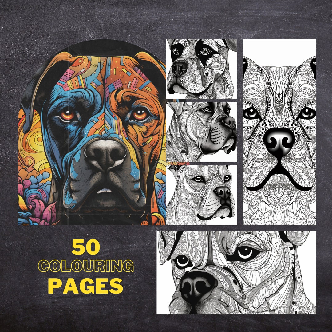 50 Boxers Colouring Pages, Amazing Patterns, Adult Colouring Book ...