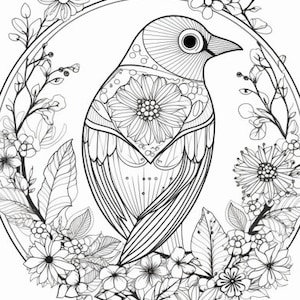 50 Birds Colouring Pages, Amazing Patterns, Adult Colouring Book ...