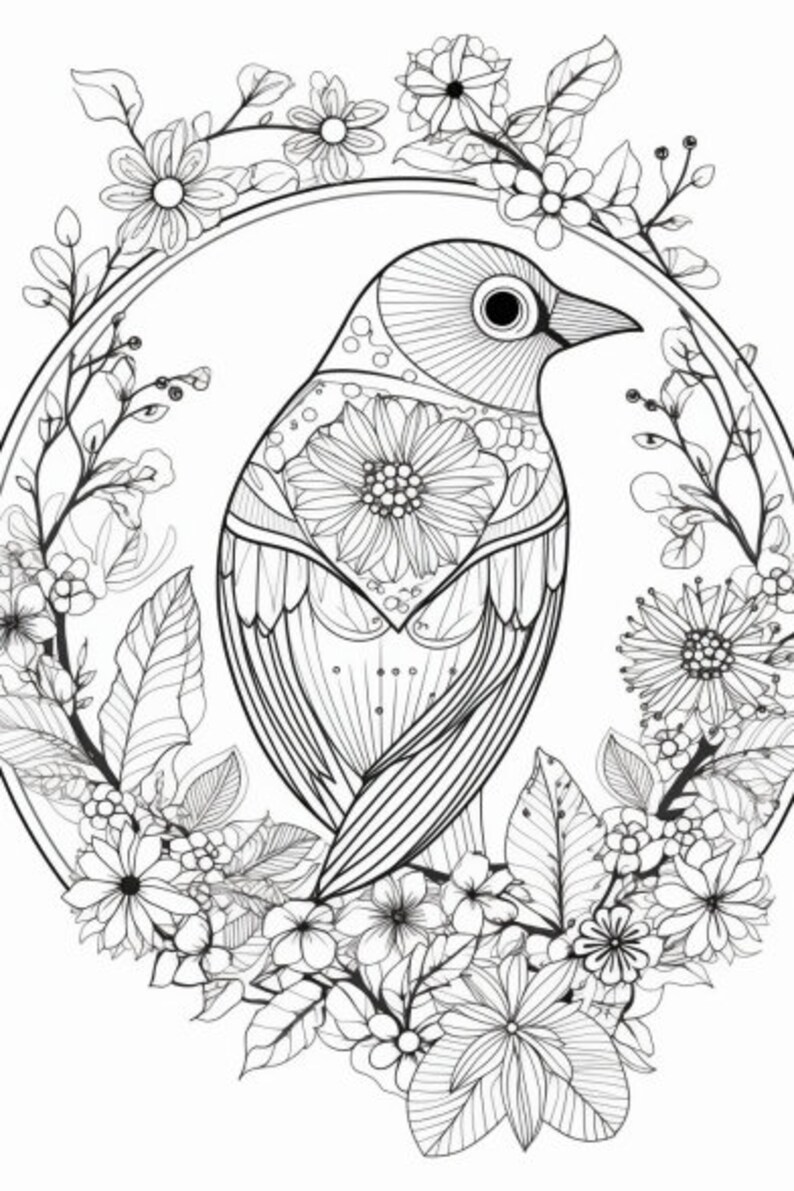 50 Birds Colouring Pages, Amazing Patterns, Adult Colouring Book ...