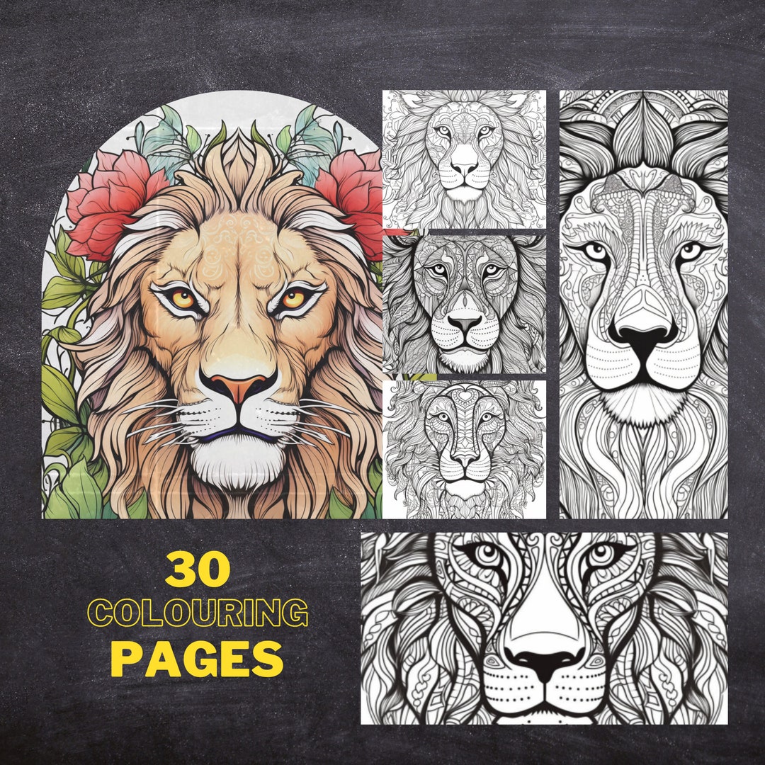 30 Lion Colouring Pages, Amazing Patterns, Adult Colouring Book ...