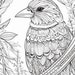 50 Birds Colouring Pages, Amazing Patterns, Adult Colouring Book ...