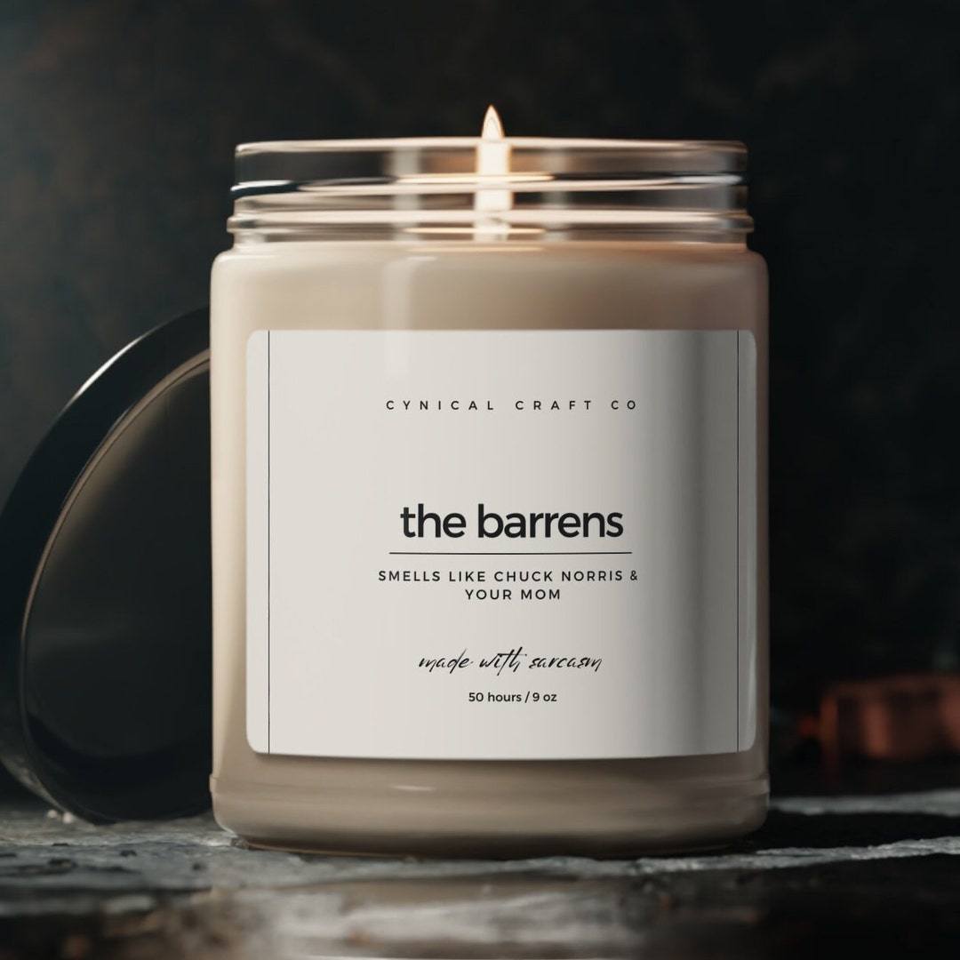 The Barrens Candle | World of Warcraft Gift | Wow Candle | Funny Candle ...