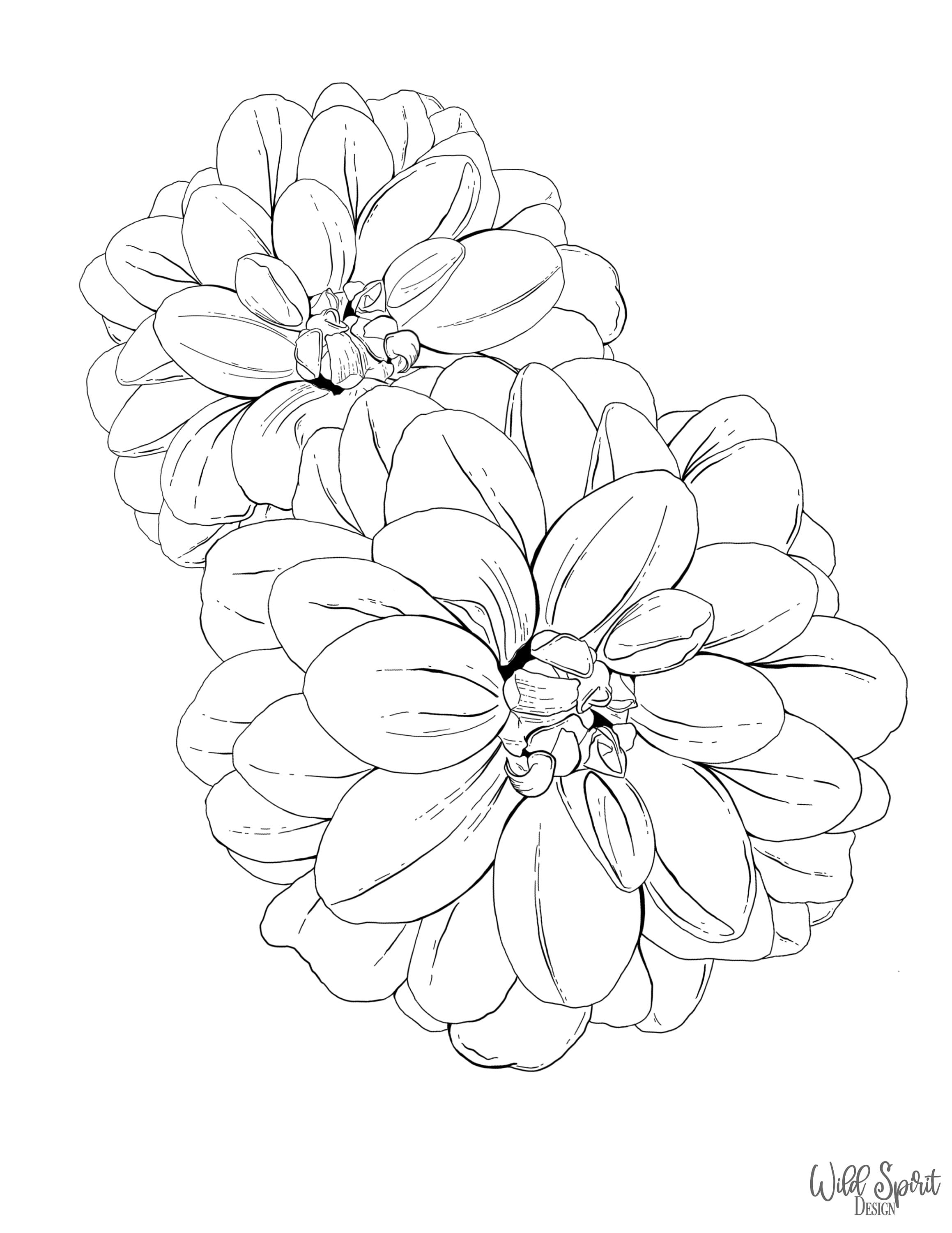 Coloring Page-dahlia Flower - Etsy