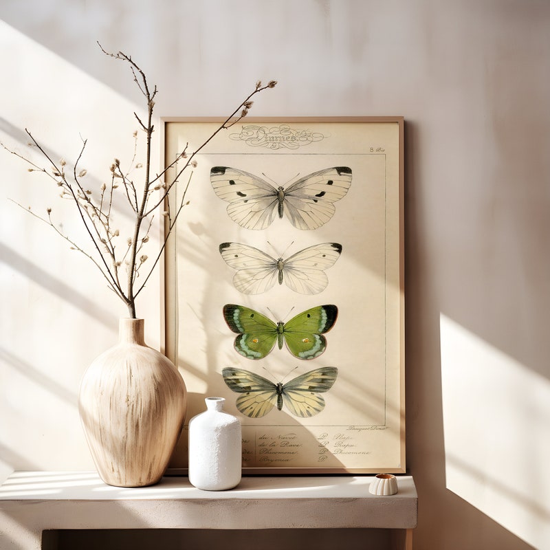 Butterfly Poster - Etsy