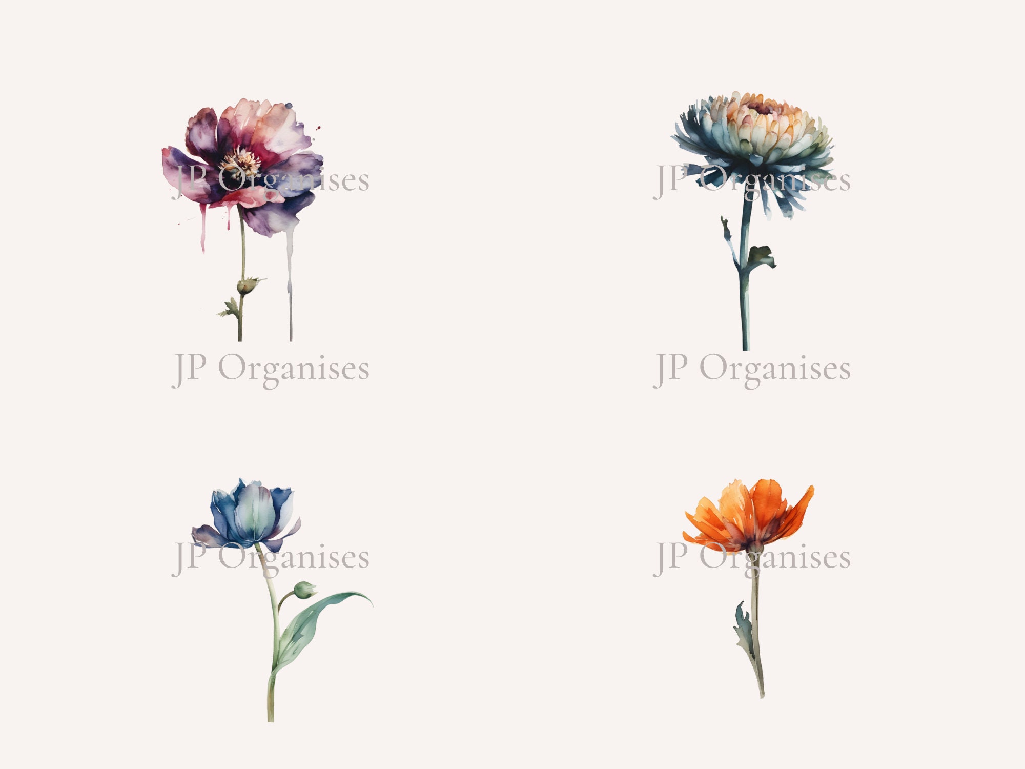 Floral SVG & PNG Bundle. Flowers PNG, Watercolour Flower Clip Art ...