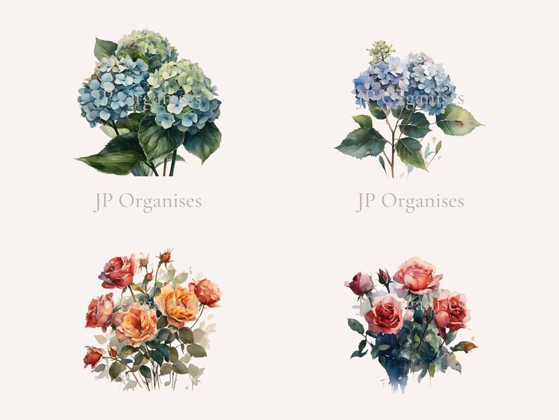 Floral SVG & PNG Bundle. Flowers PNG, Watercolour Flower Clip Art ...