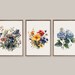 Floral SVG PNG Bundle Flowers PNG Watercolour Flower Clip Art ...