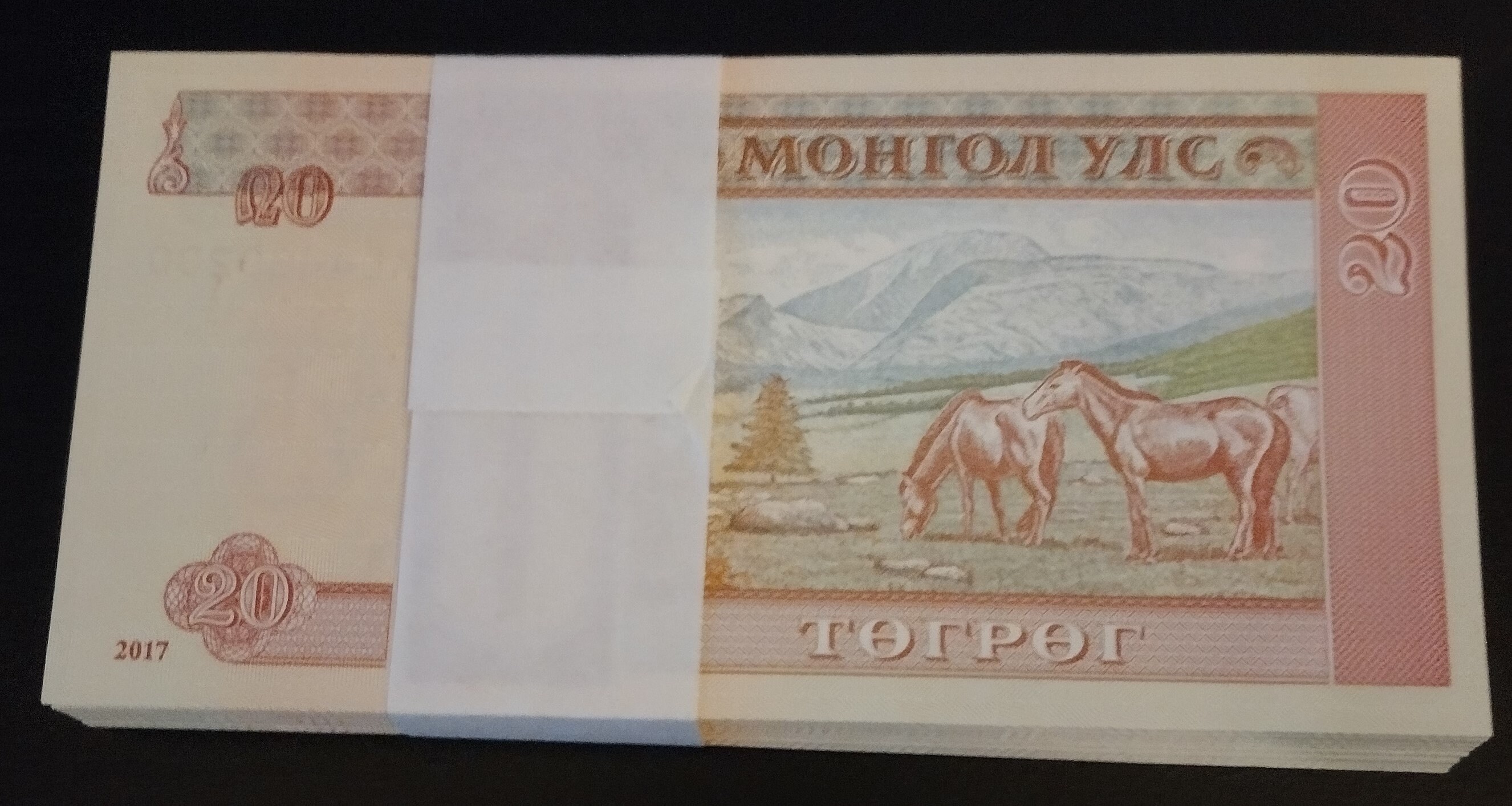 1 BUNDLE 100 Pcs Bank Notes MONGOLIA 20 Tugrik UNCIRCULADED 2017 Cash ...