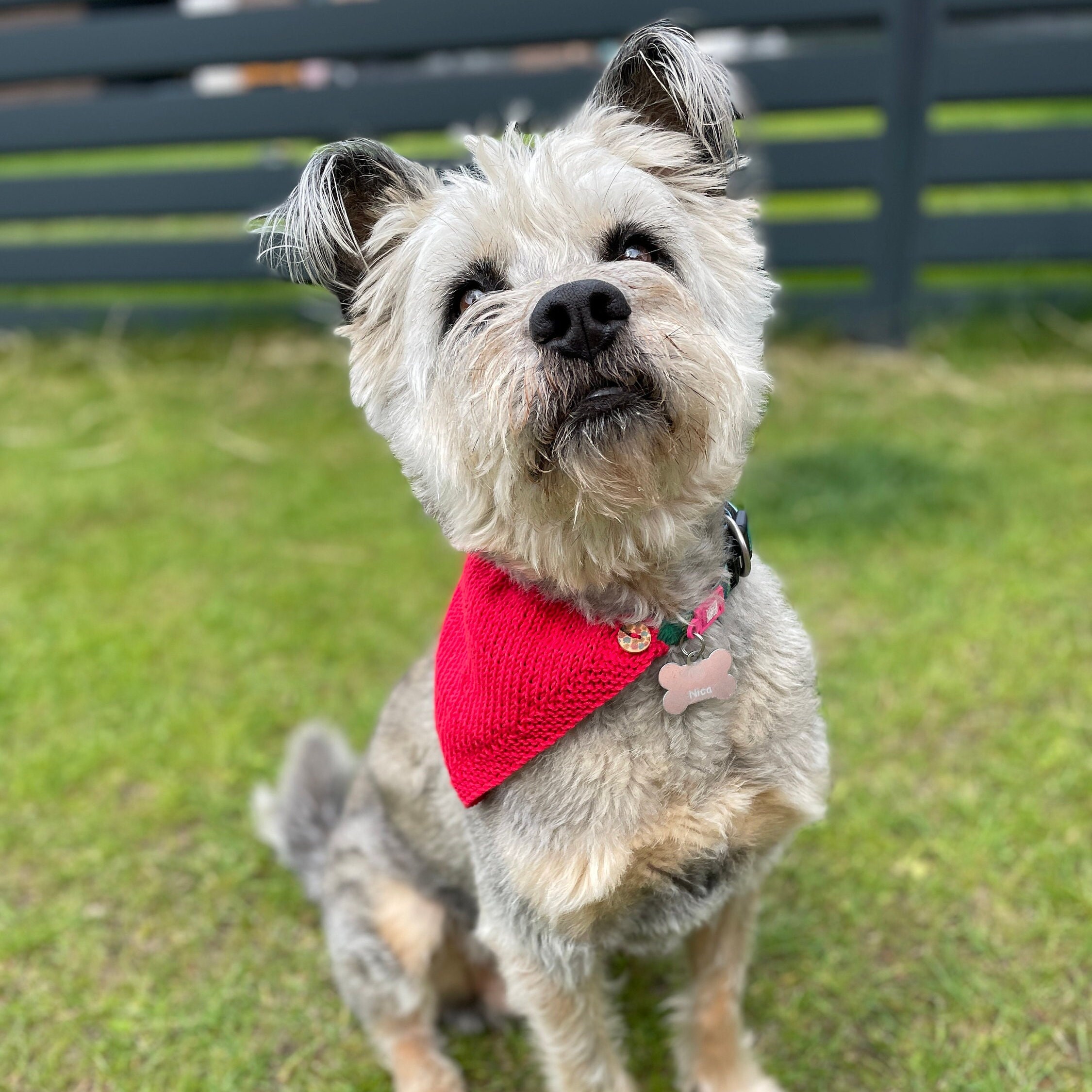 Nica Bandana Dog Bandana Over the Collar, Knitting Pattern, Dog ...