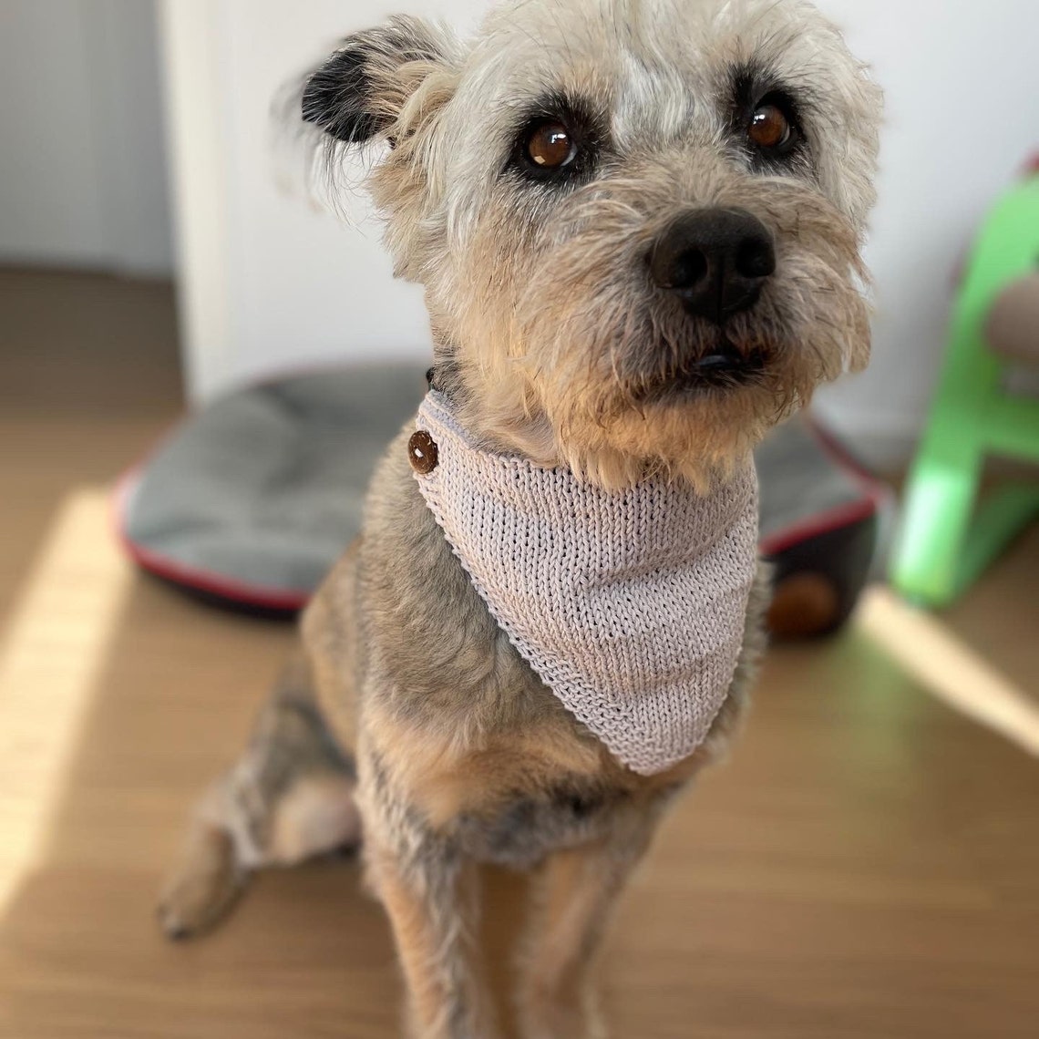 Nica Bandana Dog Bandana Over the Collar, Knitting Pattern, Dog ...