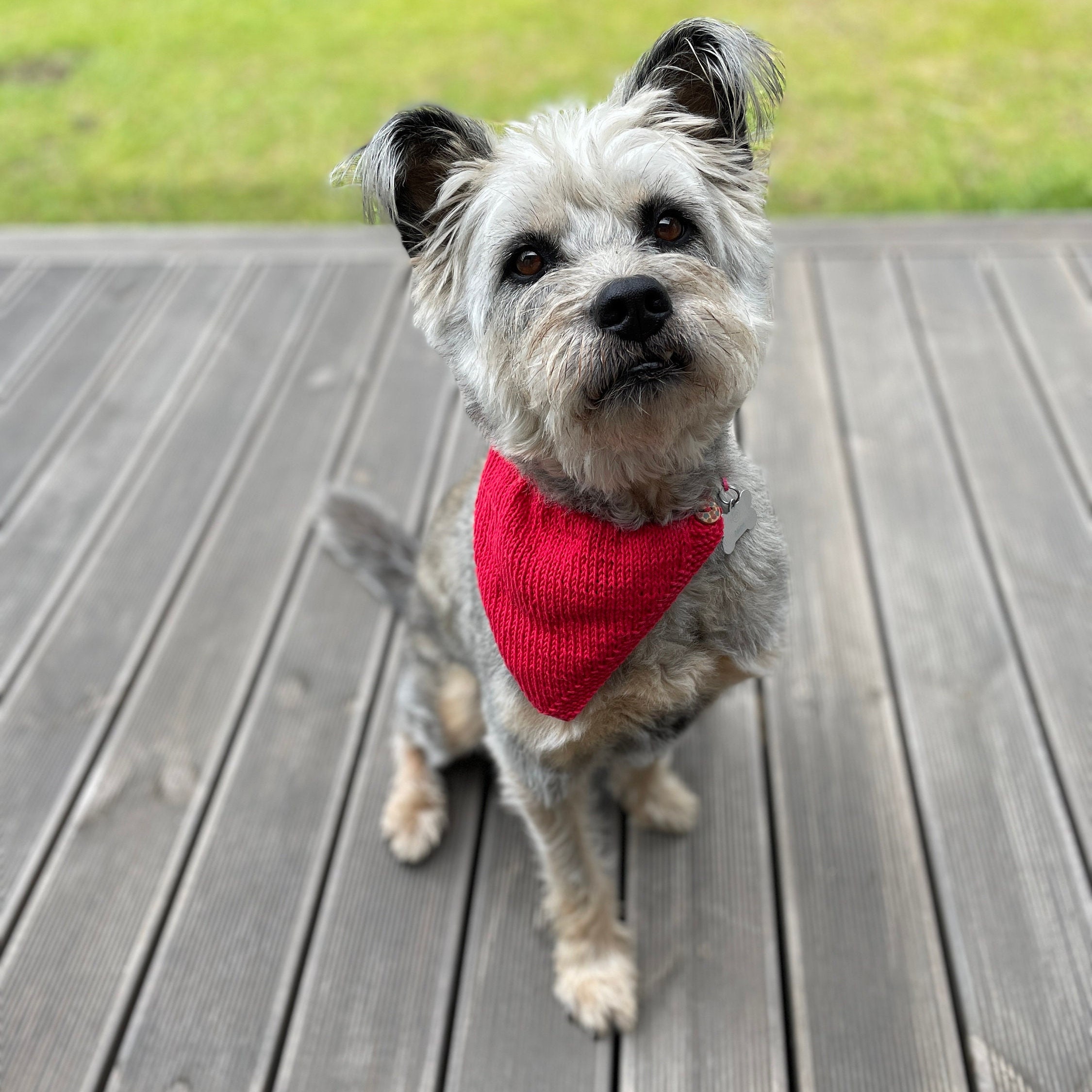 Nica Bandana Dog Bandana Over the Collar, Knitting Pattern, Dog ...