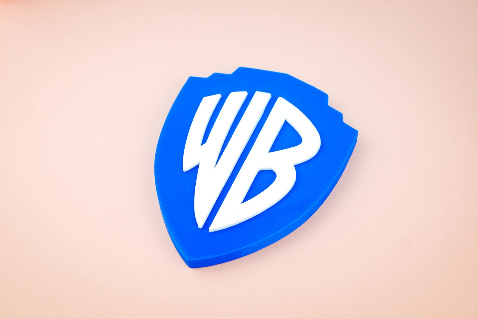 New Warner Bros Animation Group Logo 3D Printed Pretend Play Kids Toy ...