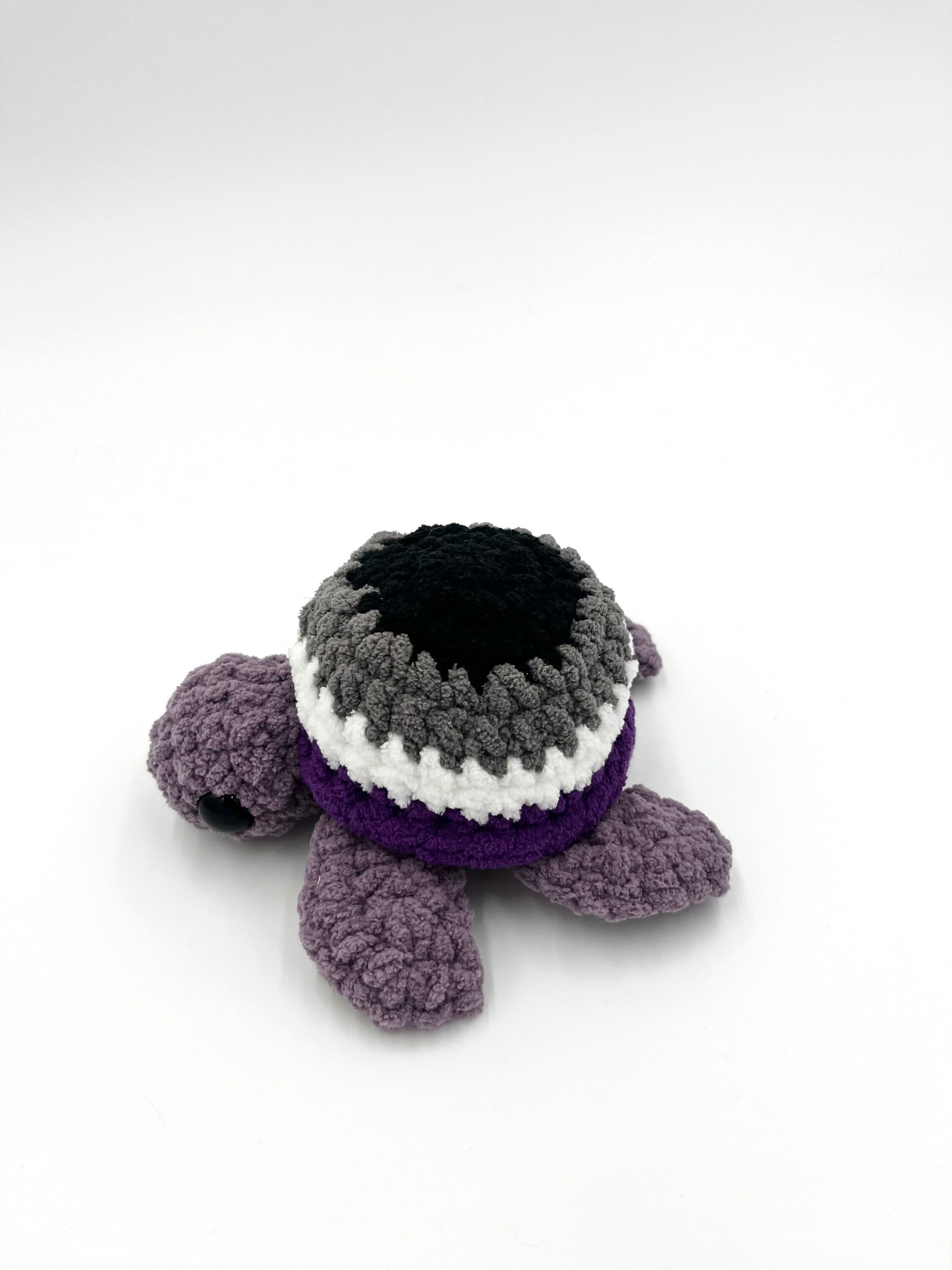 Fruitles Pride Turtles /rainbow/lesbian/gay/trans/asexual/bisexual ...