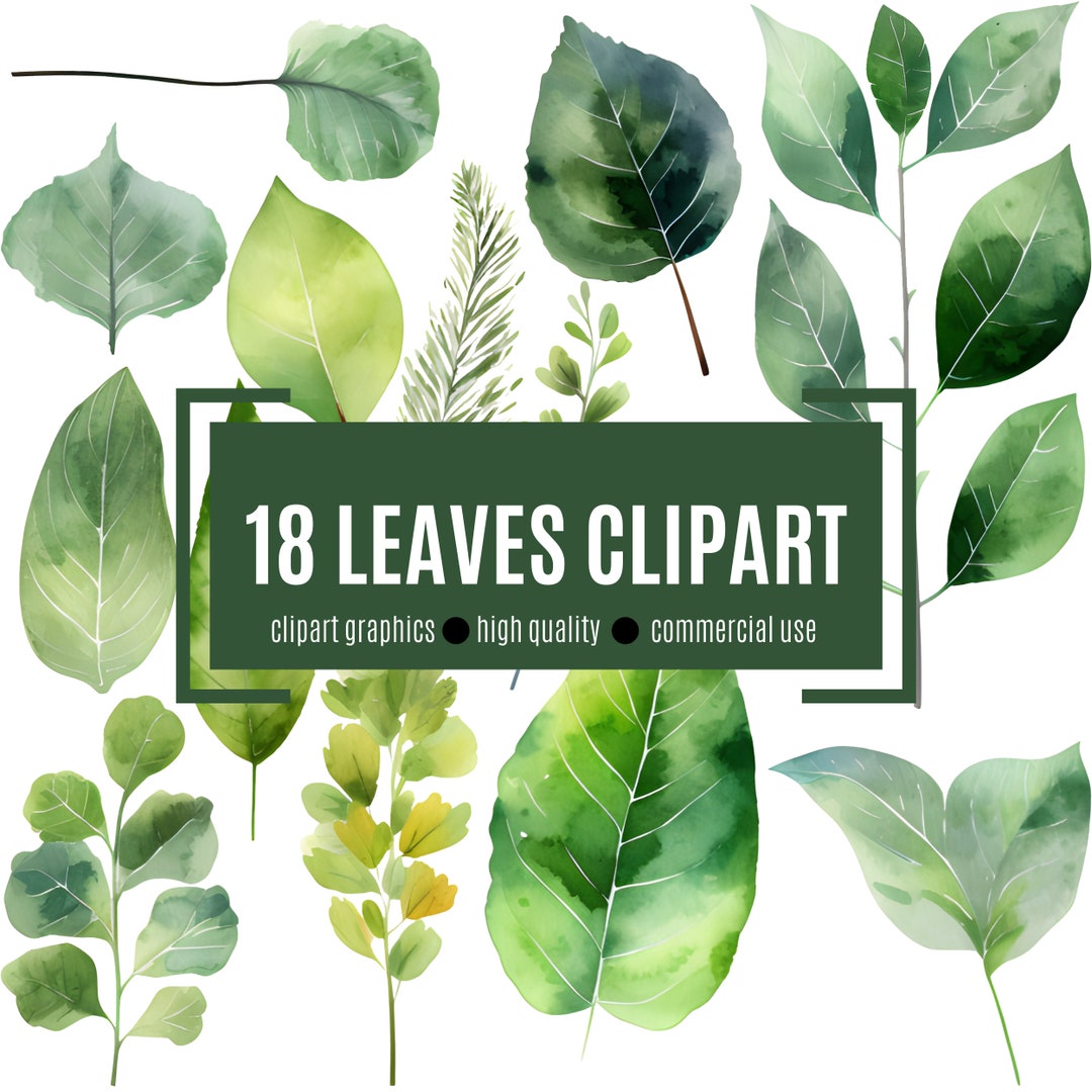 Spring Leaves Clipart - Enchanting Collection of 13 Transparent ...