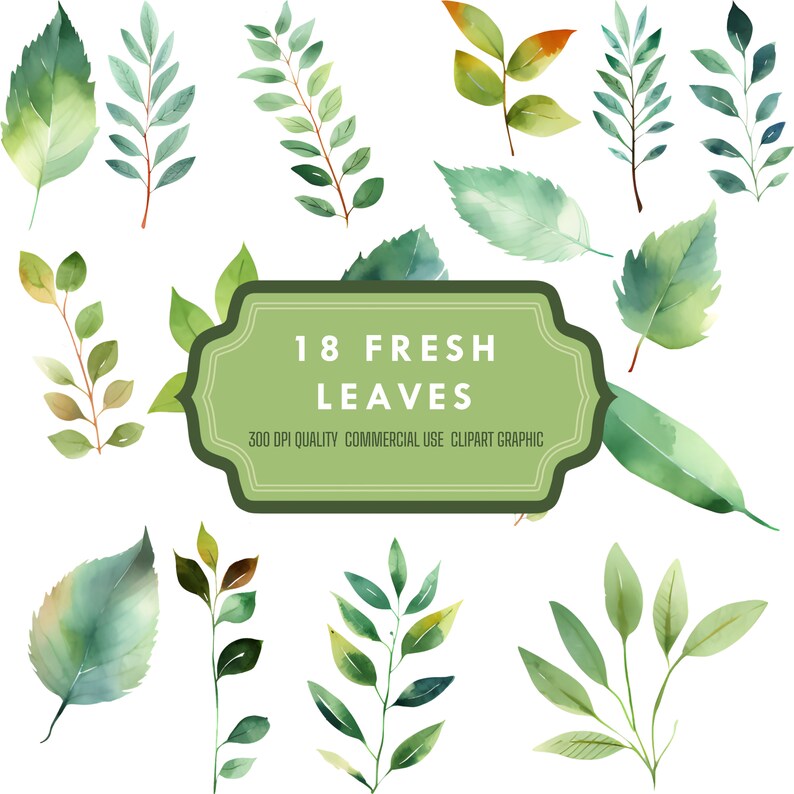 Lush Leaves Clipart Bundle Stunning Collection of 18 Unique - Etsy