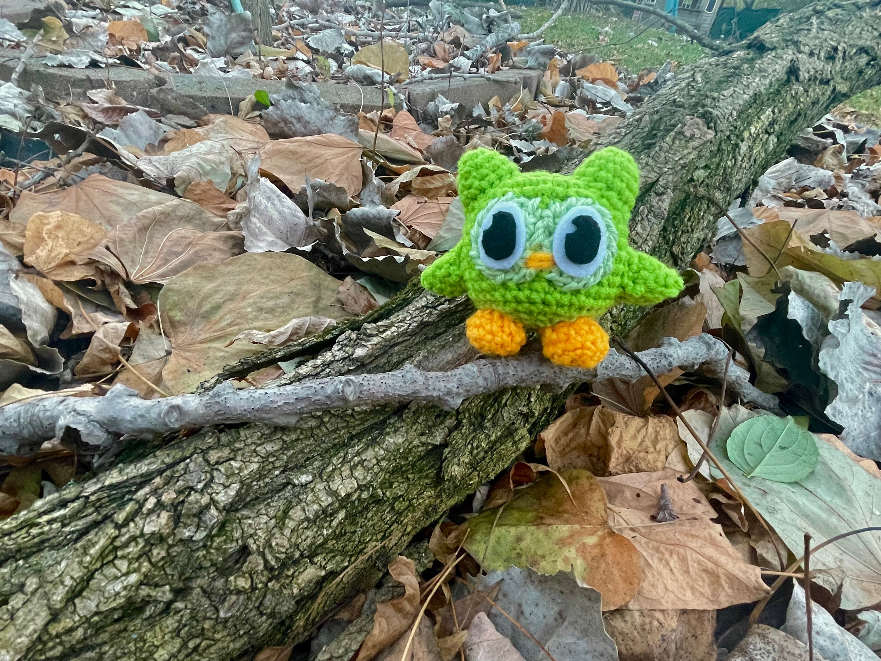 Duolingo Owl Crochet Pattern - Etsy UK